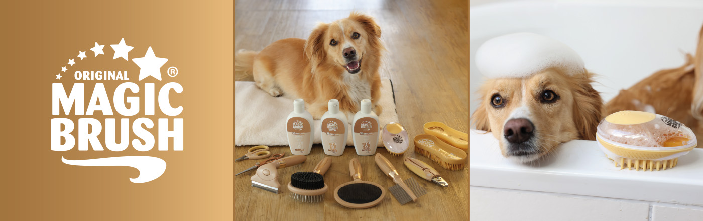 MagicBrush Hundebürsten