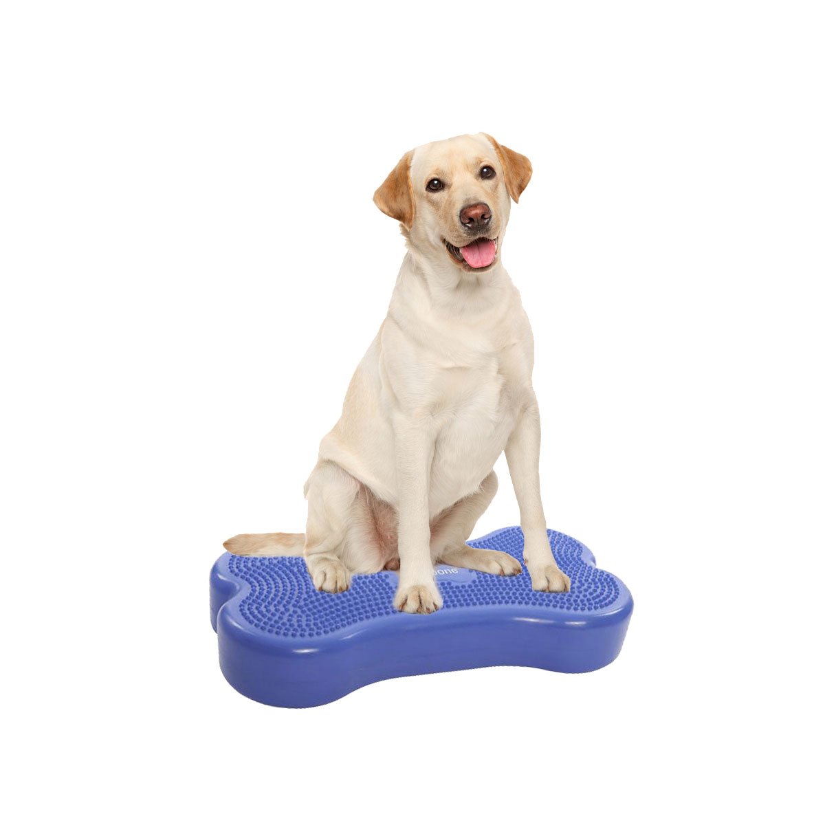 K9FITbone™ Balancierscheibe für Kraft- und Ausdauertrai