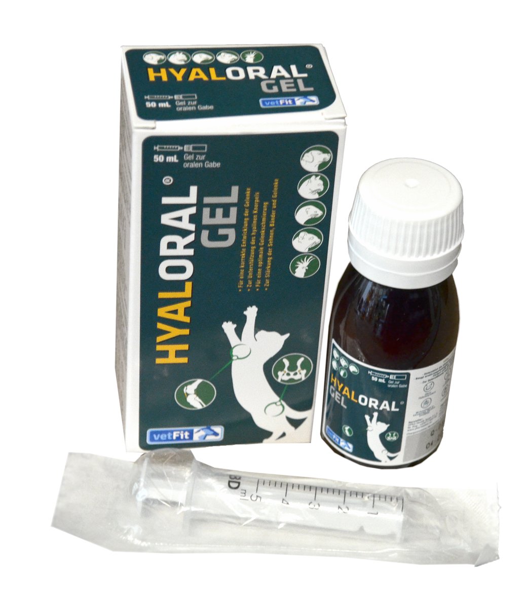HyalOral Gel 50ml - für Katzen und Hundewelpen - sehr schmackhaft