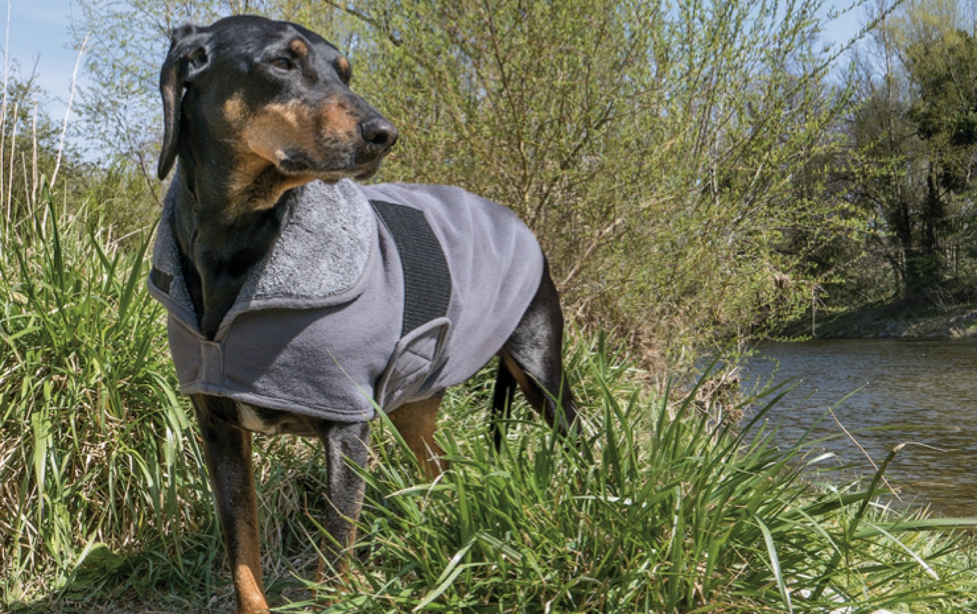 Petlando Bademantel für Hunde Superdry